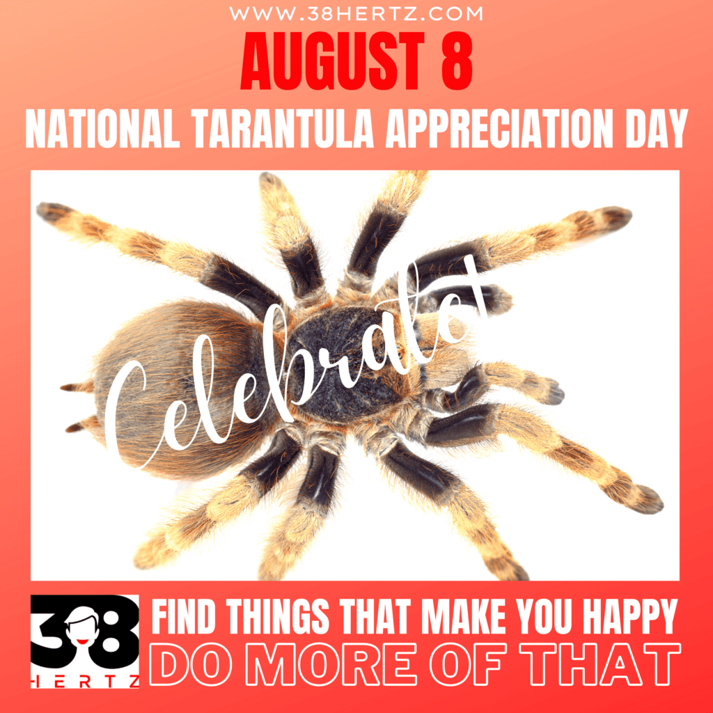 August 8 - National Tarantula Appreciation Day - 38 Hertz