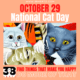 October 29 - National Cat Day: 100 Fun and Fantastic Ways to Celebrate Cats